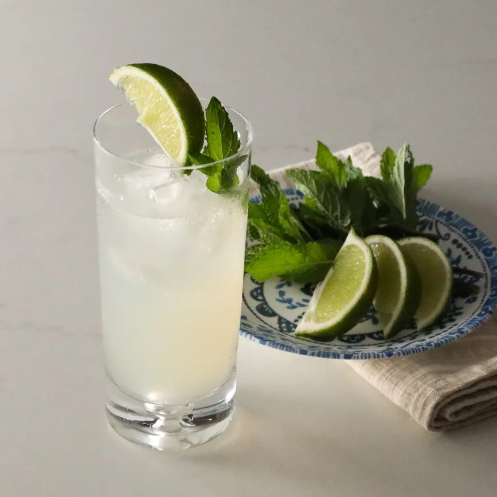 Minty Gin Gin Fizz | A Gin Cocktail with Ginger Ale and Mint